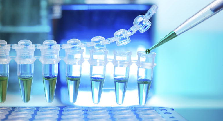 Cancer Drug Screening – Orion LifeTech